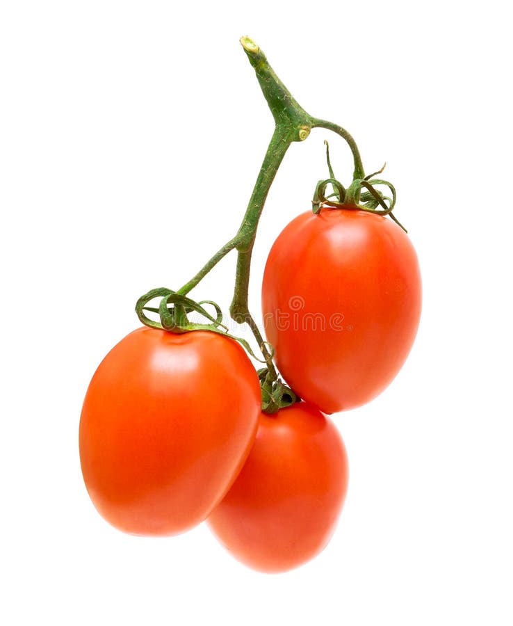 Bunch of Tomatoes Isolated on White Background Stock Photo - Image of ...