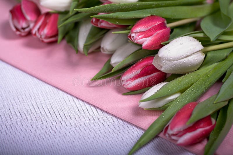 Bunch of tulips stock photo. Image of fresh, beautiful - 18732450