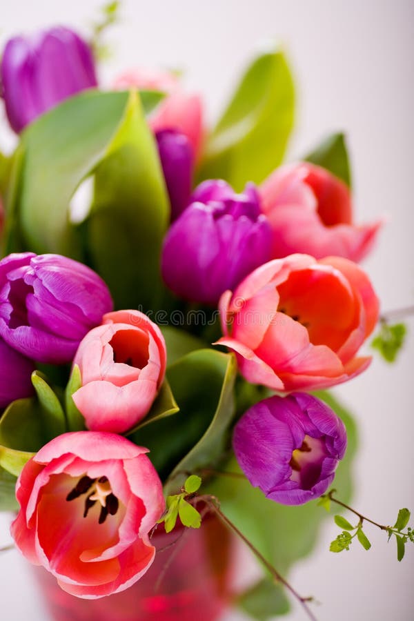 Bunch of tulips stock image. Image of nature, objects - 8960313