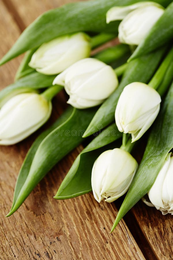 Bunch of tulips stock image. Image of still, indoors - 52457449