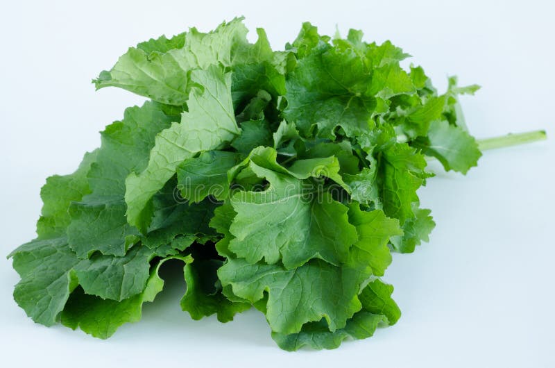 Bunch of Turnip Leaves on a White Background. Top View. Stock Image ...