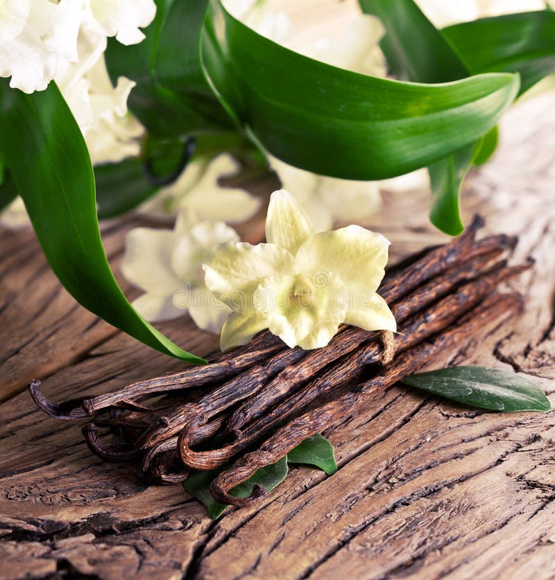 Vanilla Sticks with a Flower. Stock Image - Image of cooking, aroma ...