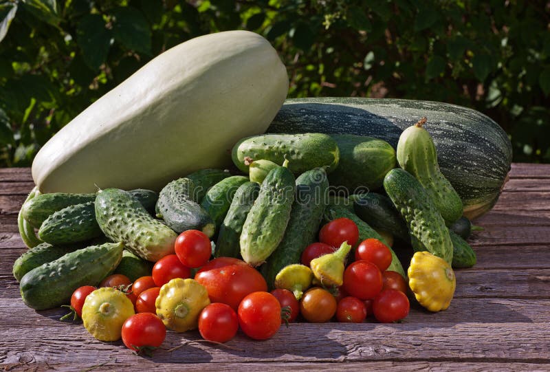 Bunch of Vegetables on the Table. Stock Photo - Image of food, ugortsy ...