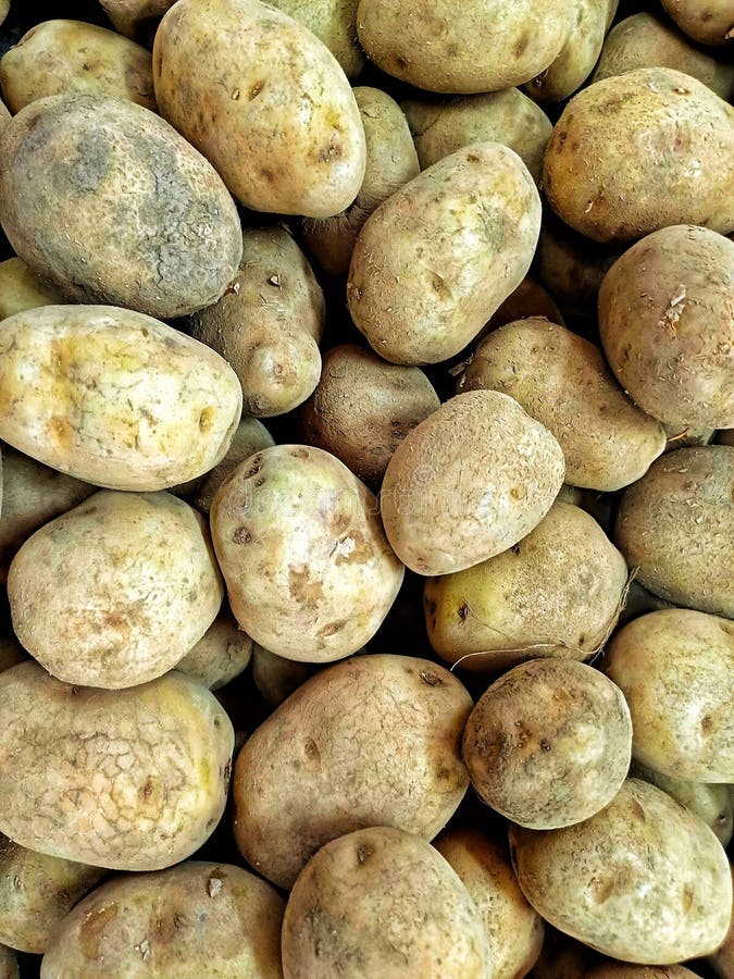 A Bunch of Versatile Potatoes Stock Image - Image of fiber, creativity ...