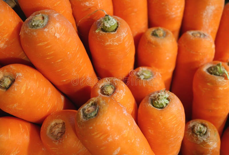 Bunch of Vibrant Color Carrots, Selective Focus for Background Stock ...