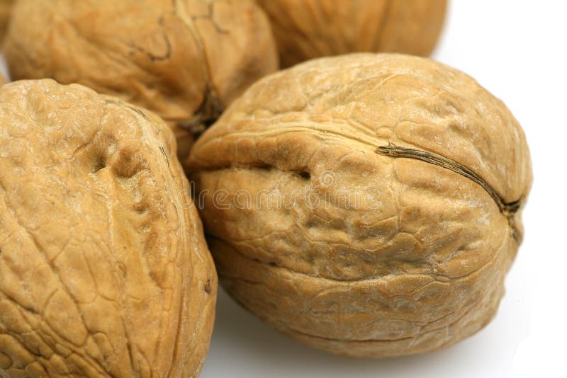 Bunch of walnuts stock image. Image of pile, heap, nutrition - 11190823