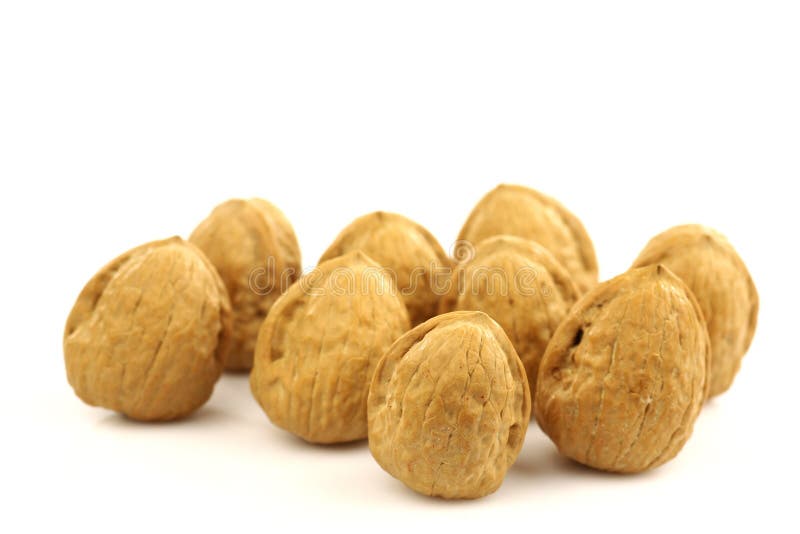 A bunch of walnuts stock photo. Image of hard, food, brown - 15719790