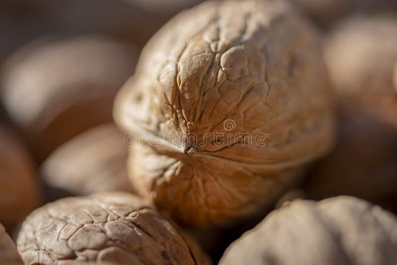 Walnuts for Sale in Yellow Open Woven Bags. Stock Image - Image of ...