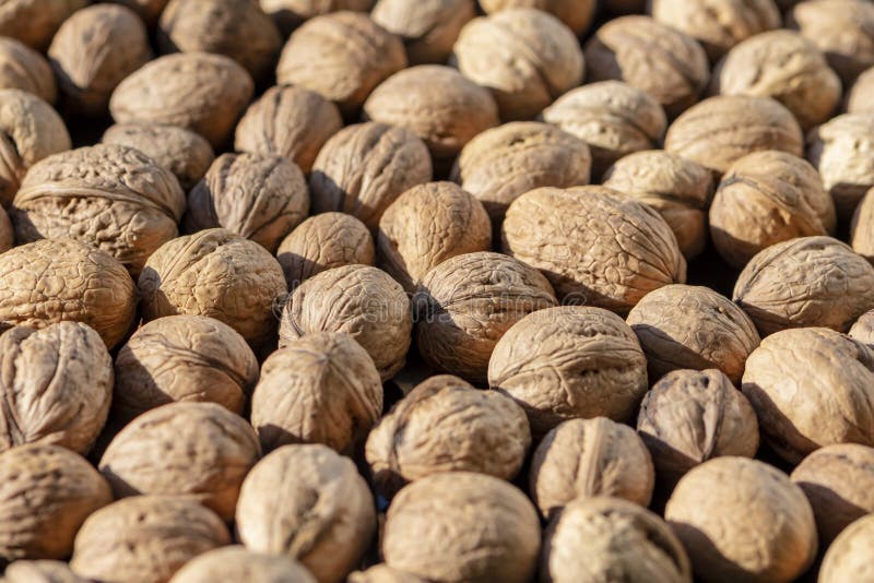 Walnuts for Sale in Yellow Open Woven Bags. Stock Image - Image of ...