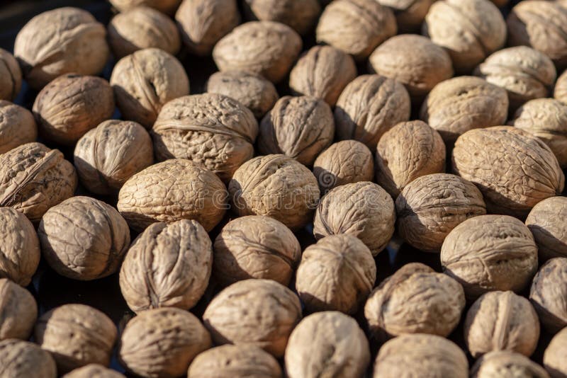 Walnuts for Sale in Yellow Open Woven Bags. Stock Image - Image of ...