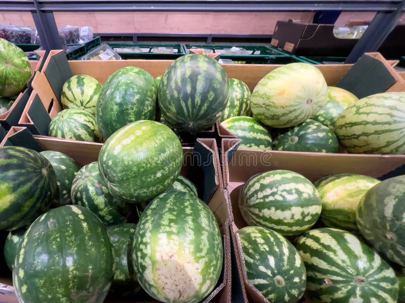 A Bunch of Watermelons are Stacked in a Box Editorial Image - Image of ...