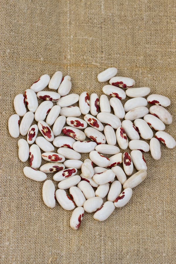 Bunch of white beans stock photo. Image of vegetarian - 33406020