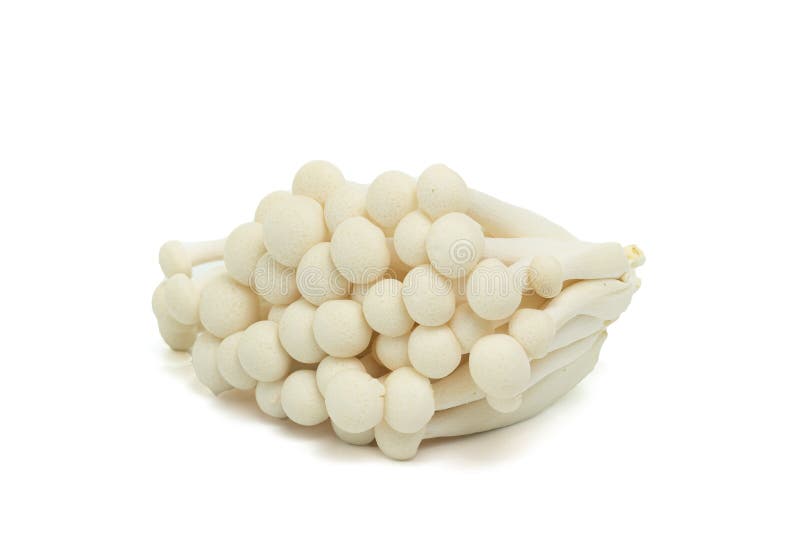 Bunch of White Bunapi Beech Mushroom Stock Image - Image of fresh, food ...