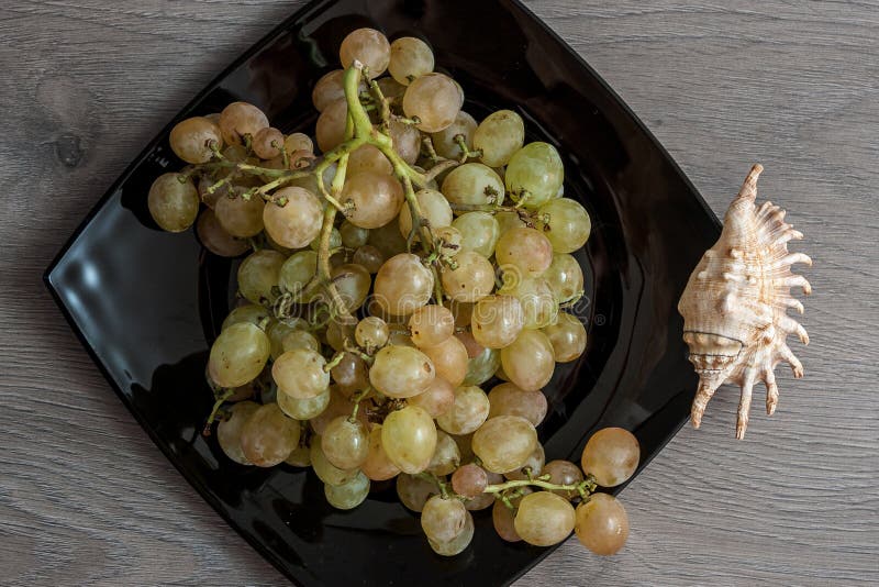 Bunch of White Grapes on the Black Plate. Composition with Shells Stock ...