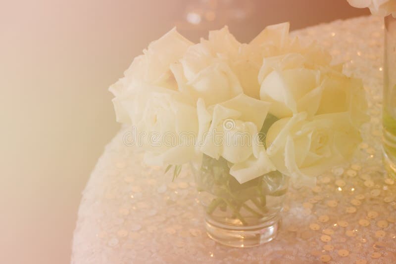 Bunch of White Rose with Soft Focus and Color Filter Stock Photo ...