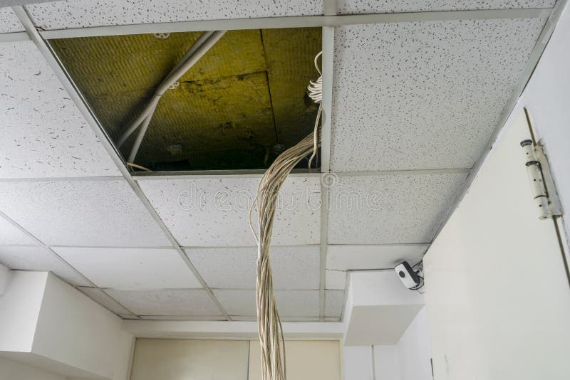 A Bunch of White Wires Hang from the Suspended Ceiling. Technological ...
