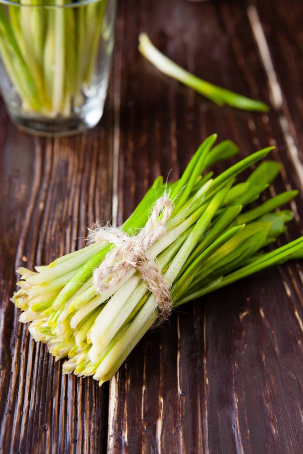 Bunch of Wild Garlic Dressing, Ramson Stock Photo - Image of ingredient ...