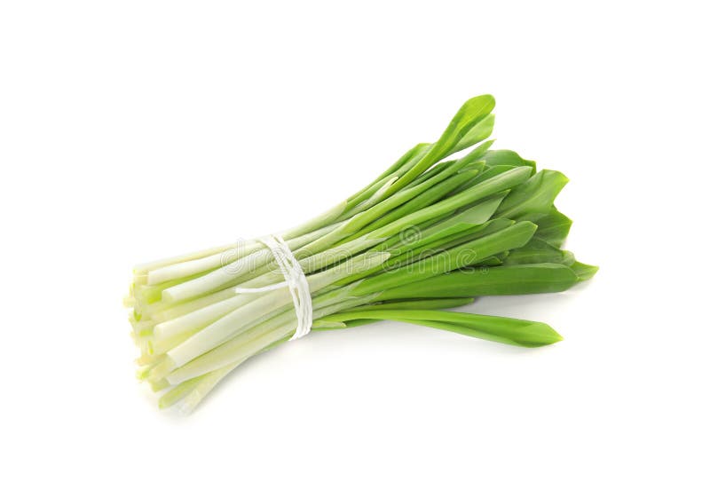 Bunch of Wild Garlic or Ramson Isolated Stock Photo - Image of garlic ...