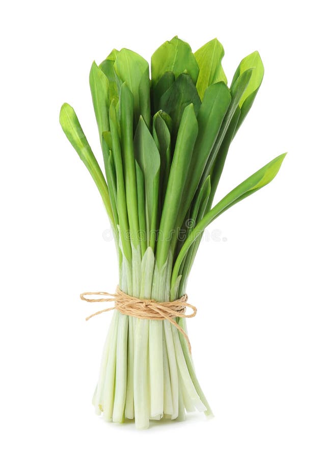 Bunch of Wild Garlic or Ramson Isolated Stock Image - Image of culinary ...