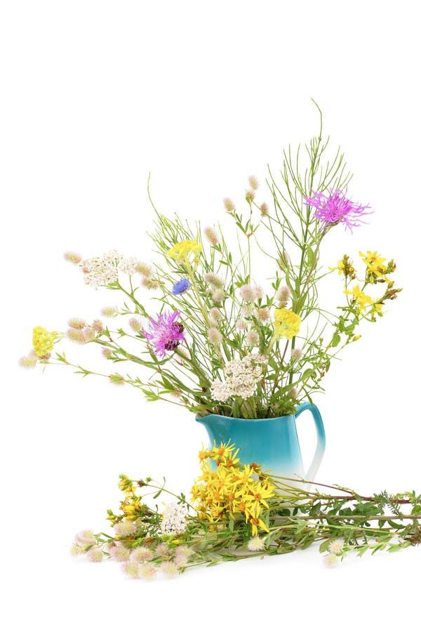 Bunch of wildflower stock image. Image of beauty, botany - 21465519