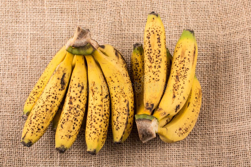 Bunch of Yellow Freckled Bananas Stock Image - Image of nutrition ... Bunch of Yellow Freckled Bananas Stock Image - Image of nutrition ...