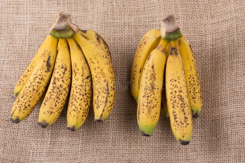 Bunch of Yellow Freckled Bananas Stock Photo - Image of eating, enhance ... Bunch of Yellow Freckled Bananas Stock Photo - Image of eating, enhance ...