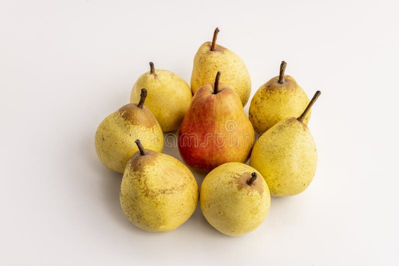 A Bunch of Yellow Pears with Their Stems Upright and a Red One in the ...
