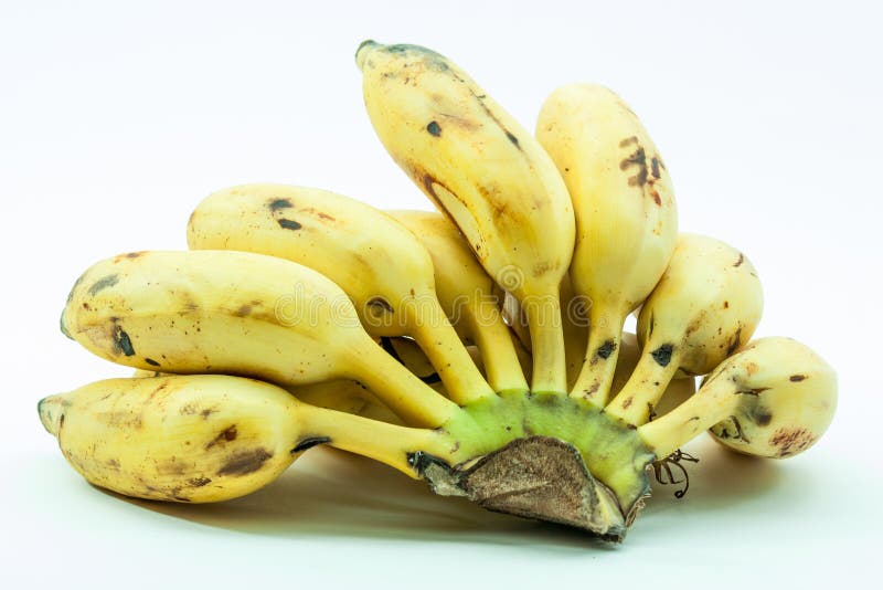 Bunch of Yellow Small Banana Fruit Stock Image - Image of bunch ...