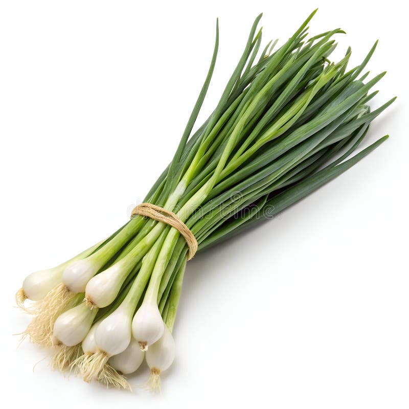 Bunch of Young Green Garlic Stock Illustration - Illustration of young ...