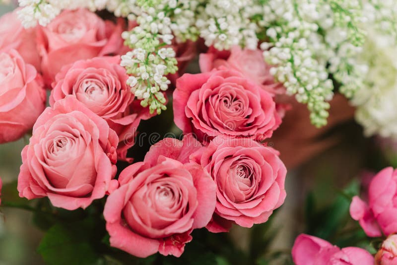 Bunches of Amazing Pink Roses and White Lilac Stock Photo - Image of ...