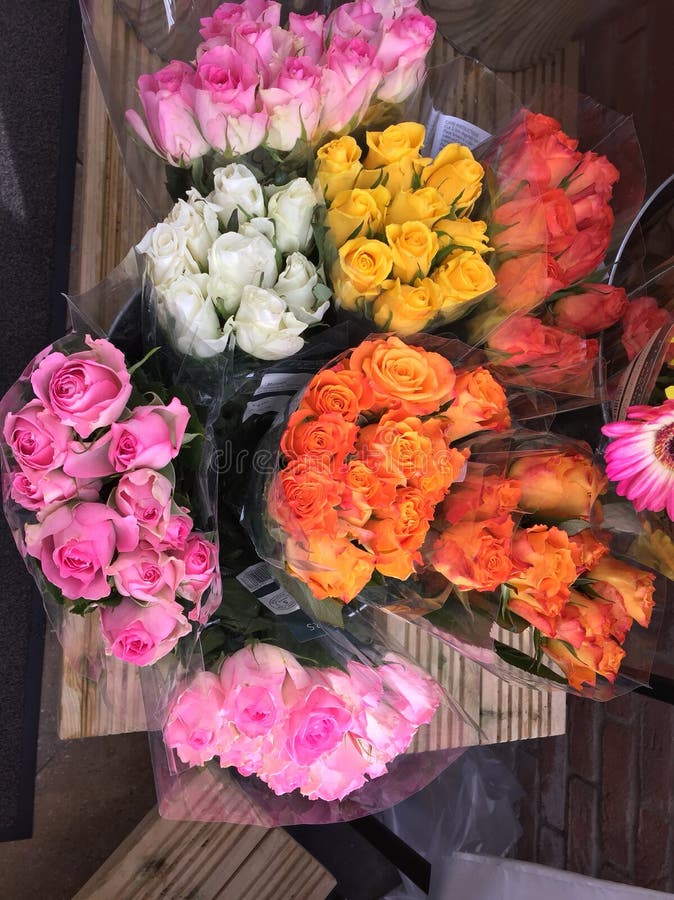 230 Bunches Pink Roses Photos - Free & Royalty-Free Stock Photos from ...