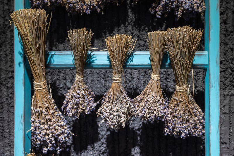 Bunches of Dried Lavender Hanging on a Wooden Rack Stock Image - Image ...