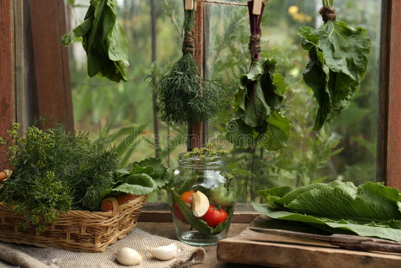 Bunches of Fresh Green Herbs Over Table with Ingredients Stock Photo ...