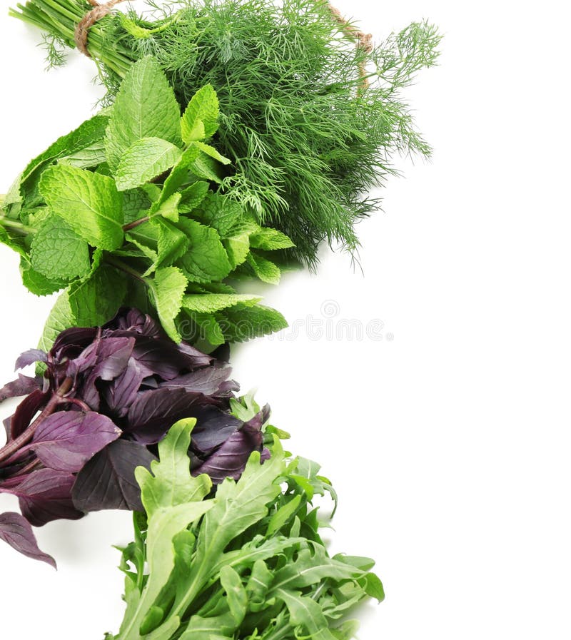 Bunches of Fresh Herbs on White Background Stock Photo - Image of ...