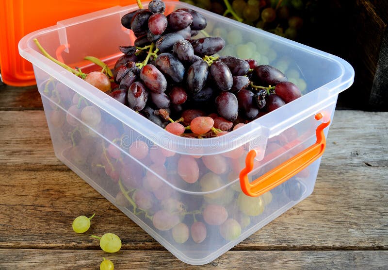 Bunches of Grapes Folded in a Plastic Food Box. Stock Image - Image of ...