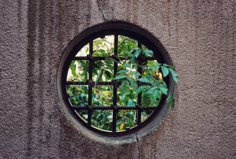 Bunches Seen through Round Window in the Wall Stock Photo - Image of ...