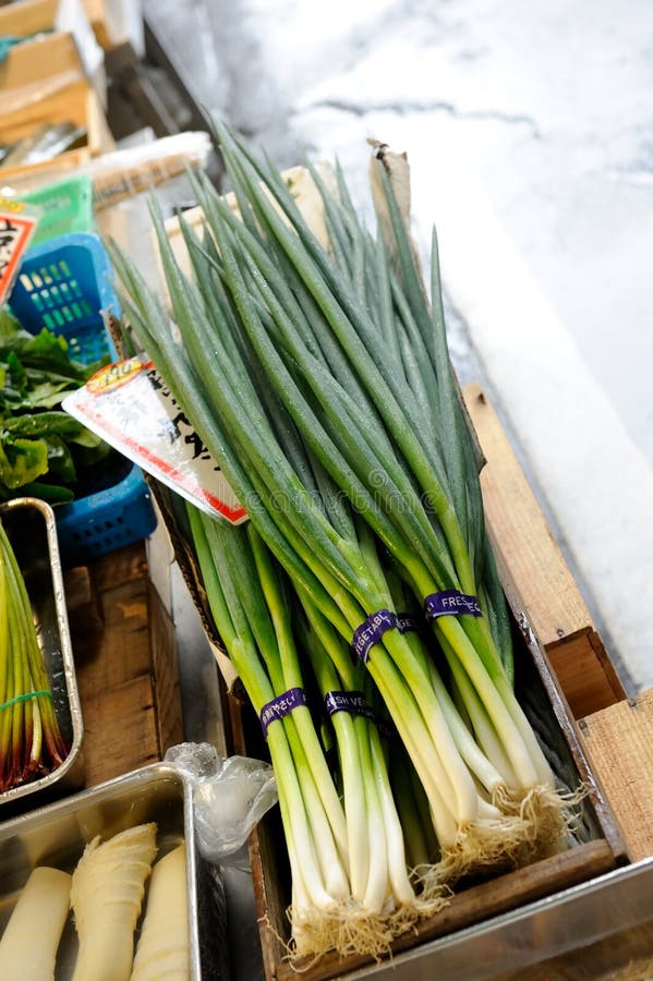 Bunches of spring onion stock image. Image of scallion - 19901257