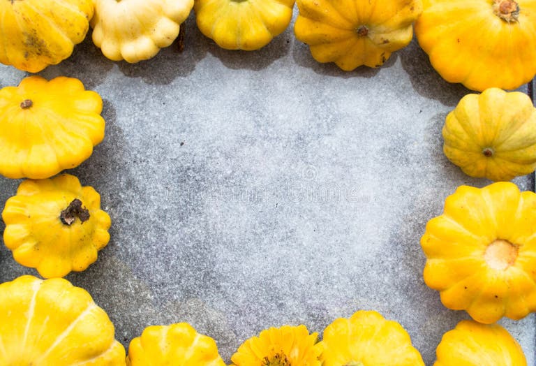Bunches of Squash As a Natural Border Around Blank Area with Copy Space ...