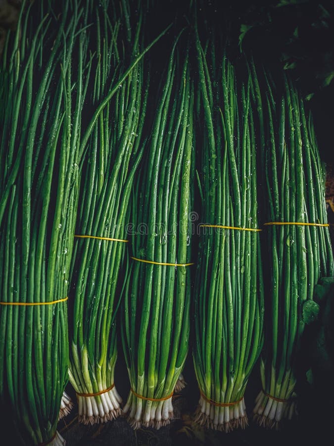 Bunches of Tied Leek Covered Stock Image - Image of water, drops: 120683357