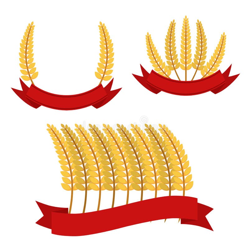 Bunches of Wheat with Ribbons, Frames. Flat Style. Organic Food Stock ...