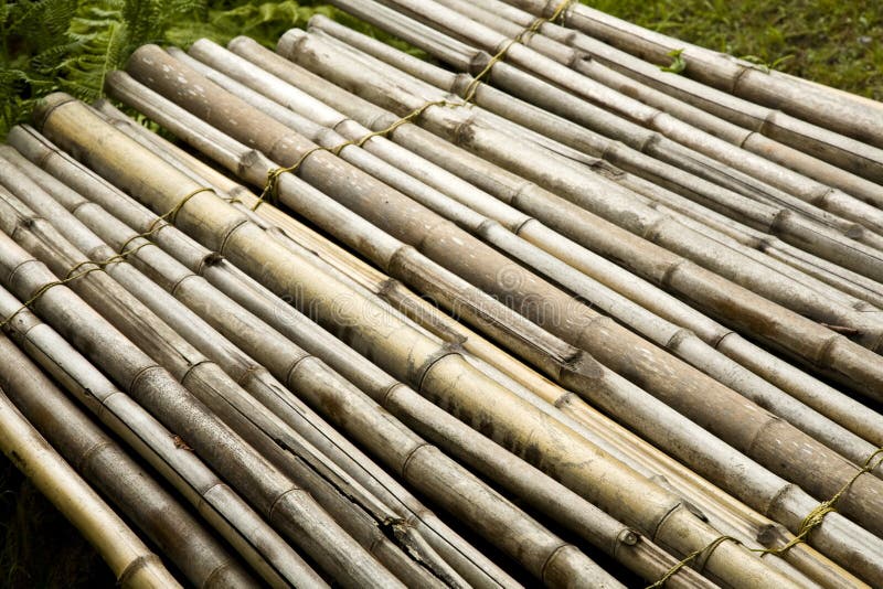 Bundle of Bamboo Sticks stock image. Image of wood, green - 7694865