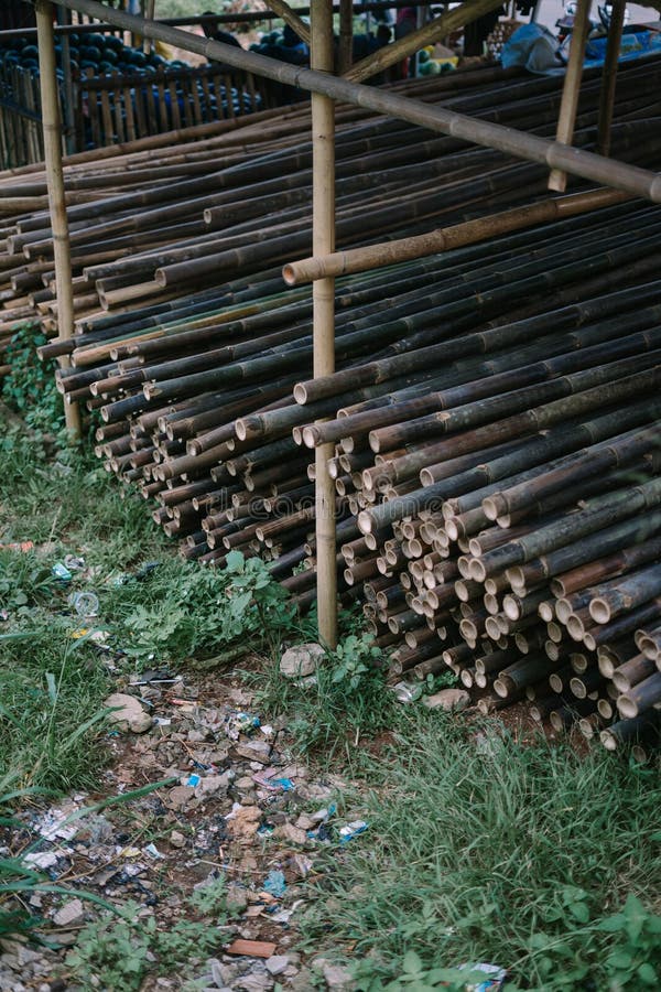 Bundle Bamboo Sticks Prepared Sale Stock Photos - Free & Royalty-Free ...