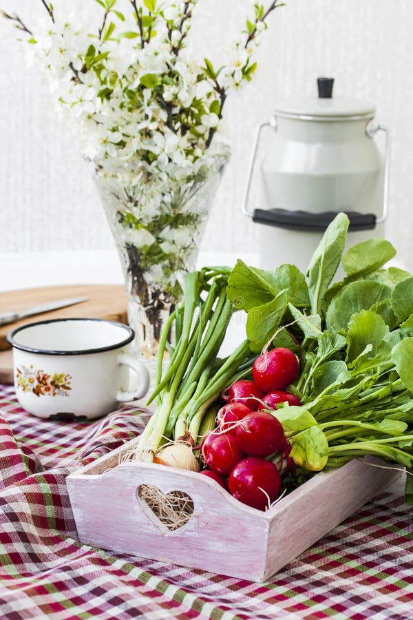 Bundle of Bright Fresh Organic Radishes with Leaves Stock Photo - Image ...