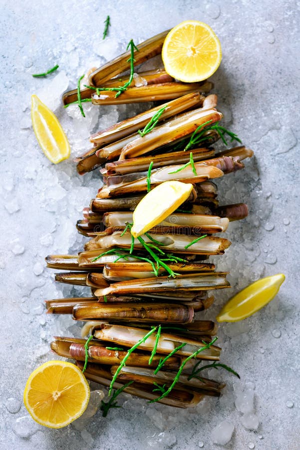 Bundle, Bunch of Fresh Razor Clams on Ice, Grey Concrete Background ...