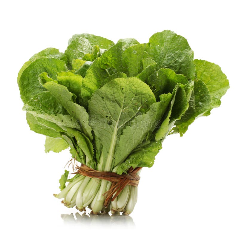 Bundle of cabbage stock photo. Image of choy, cabbage - 26492098