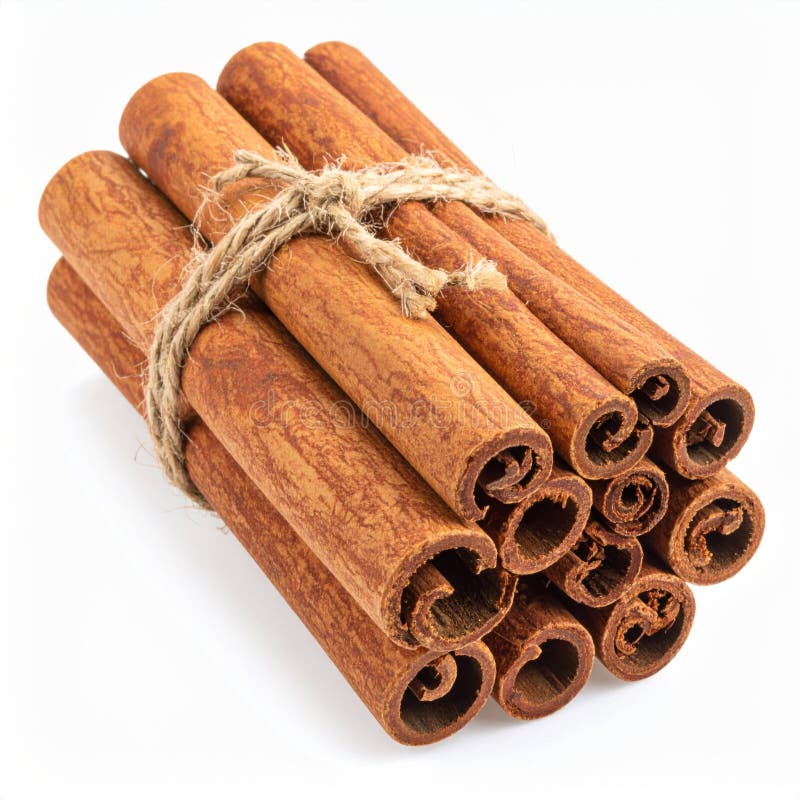 Bundle of Cinnamon Sticks Tied with Twine Stock Illustration - Illustration of cinnamon, bundle ...
