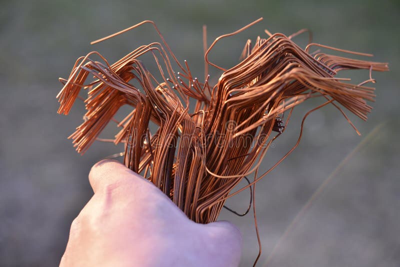 A Bundle of Copper Wire in His Hand. Copper Scrap Stock Photo - Image ...