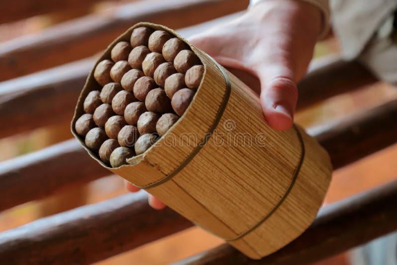 Bundle of Cuban Cigars stock photo. Image of quality - 52067612