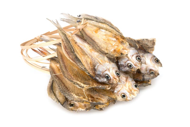 Bundle of Dried Fish stock image. Image of dried, white - 113284303