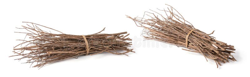 Bundle of Firewood, Small Dry Tree Branches or Twigs on White Stock ...